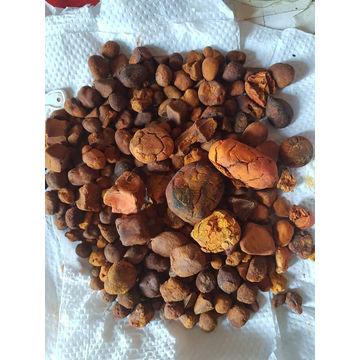 Netherlands Natural Dried Ox Cow Cattle Bile Gallstones on Global ...