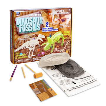 China Dinosaur Fossil Dig Excavation Kit,Education Dinosaur DIY Dig up ...