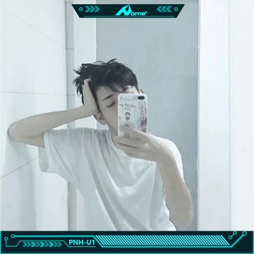 China Classic black and white plaid striped zebra shatter-resistant ...