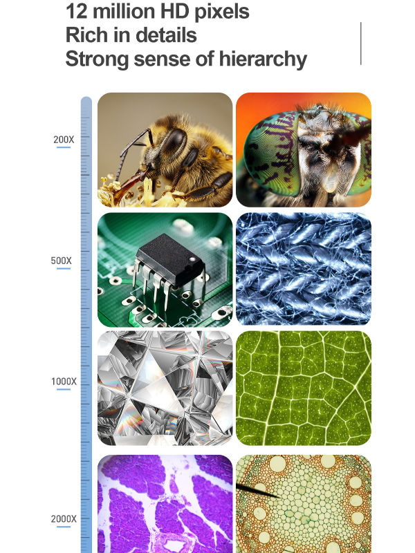 Inskam 315 12MP-2000X-7inch IPS student digital zoom microscope with ...