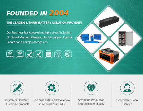 DLG 500 Deep Cycles NCM Lithium Batteries 18490 3.6V 1600mAhDigital ...