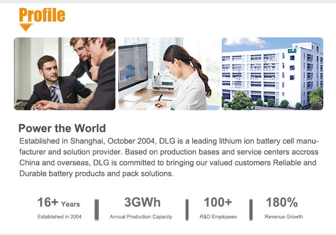 DLG 500 Deep Cycles NCM Lithium Batteries 18490 3.6V 1600mAhDigital ...