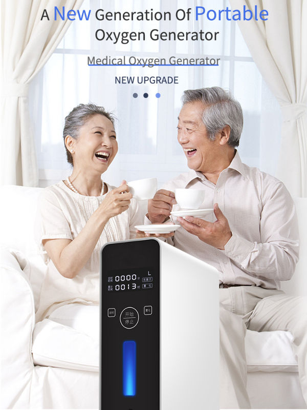 China Portable Vehicle-mounted Home Oxygen Concentrator 2L 93% High ...
