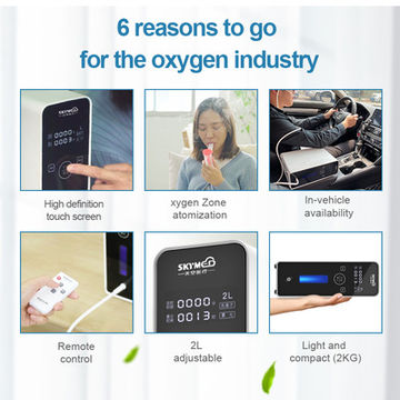 China Portable Vehicle-mounted Home Oxygen Concentrator 2L 93% High ...