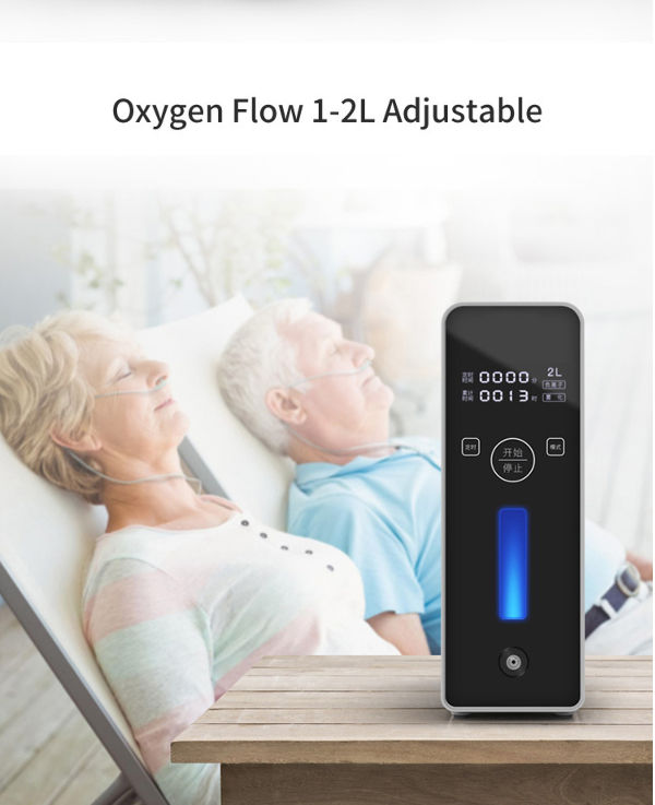 China Portable Vehicle-mounted Home Oxygen Concentrator 2L 93% High ...