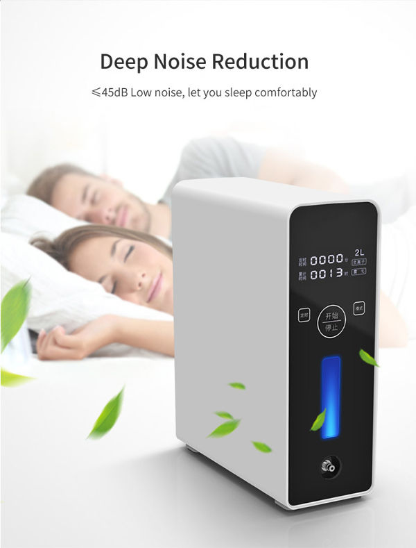 China Portable Vehicle-mounted Home Oxygen Concentrator 2L 93% High ...