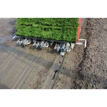 China Transplanters, Riding Type Rice Transplanter, Diesel 20HP, 6 Rows ...