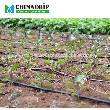 Drip Tape Irrigation