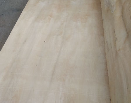0.27mm PLB wood veneer for Indian market, PLB veneer wood veneer Veneer ...