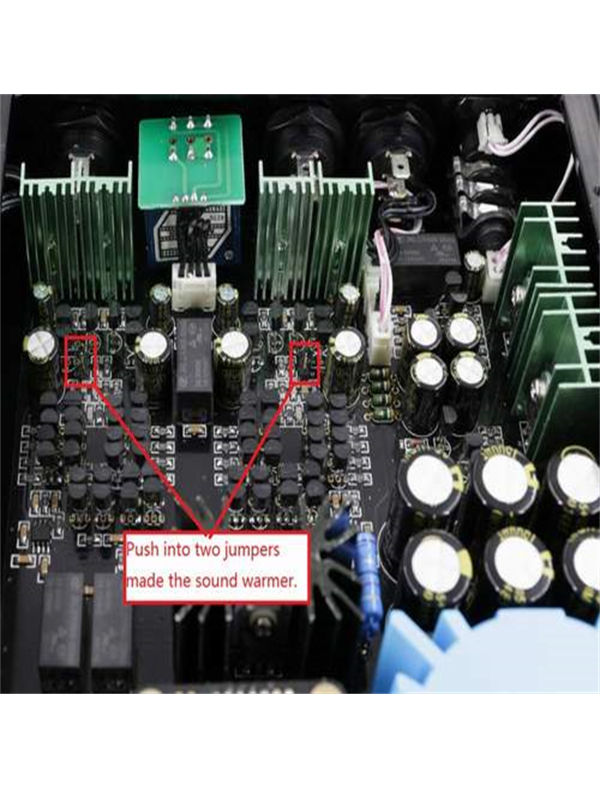 Audio-GD R2R 11 Discrete R-2R Stepped Resistor Headphone/Preamp/DAC ...