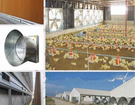 China China cheap poultry farming prefabricated industrial chicken ...