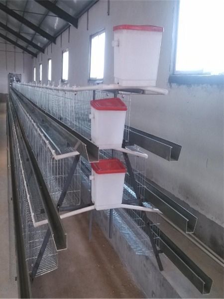 China China cheap poultry farming prefabricated industrial chicken ...