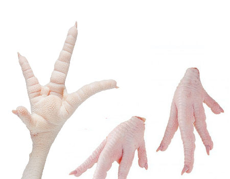 United States Processed Grade A Chicken Paws US Origin on Global ...