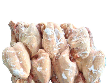 United States Chicken Upper Backs on Global Sources,Buy Chicken Backs ...