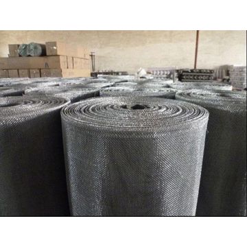 China 12x12-32x32 Electro Galvanized Fly Insect Window Screen ...