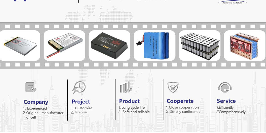 China High quality rechargeable IoT battery lithium polymer battery ...