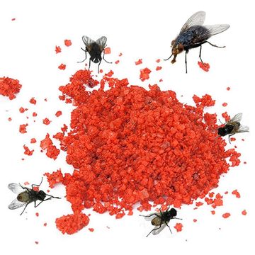 China Fly granules fly killing bait fly killer indoor outdoor pest ...