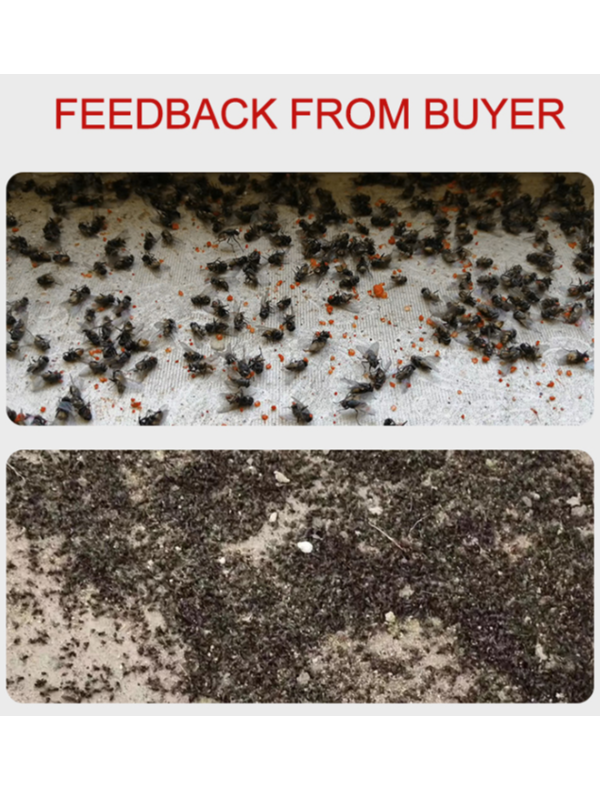China Fly granules fly killing bait fly killer indoor outdoor pest ...