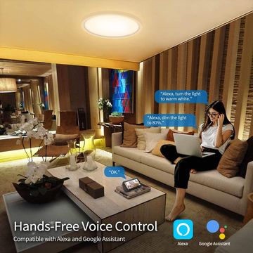 China Smart LED Ceiling Light Flush Mount Dimmable WiFi APP & Remote ...