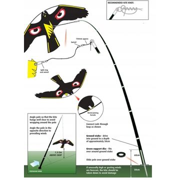 China Gardening bird repellent kite on Global Sources,Farm Bird ...