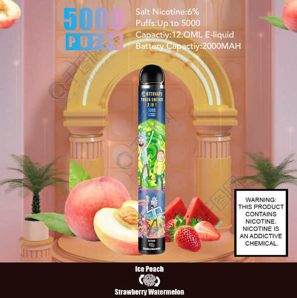 Touch Switch Disposable Vape 5000 Puffs OTTO Vape Best E Liquid Russia ...