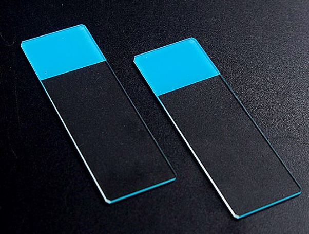 China Laboratory Color Frosted Slides Microscope Slide 7109 on Global ...