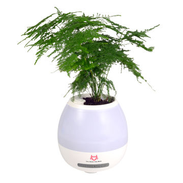 China 200ml Mini Cool Mist Humidifier 4.6" Indoor Planter Wireless ...