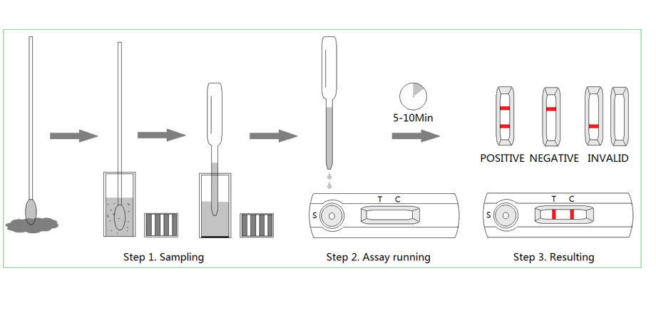 China Canine Brucella Antibody Rapid Test (C.Brucella Ab) on Global ...