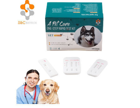 China Canine Brucella Antibody Rapid Test (C.Brucella Ab) on Global ...