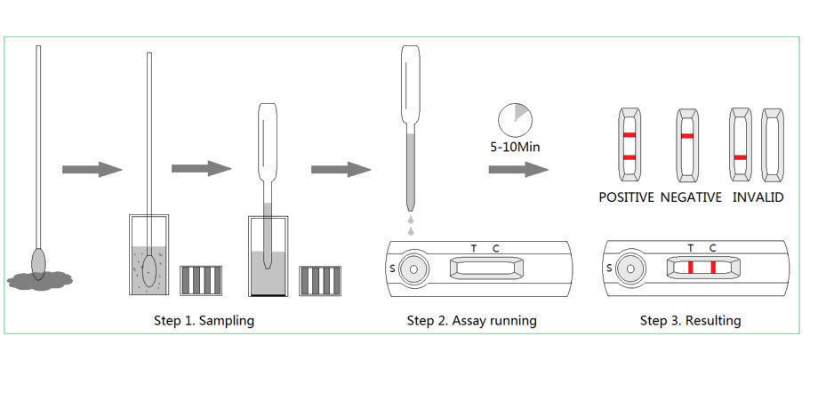 China Canine Ehrlichia Antibody Rapid Test (E.canis Ab) on Global ...