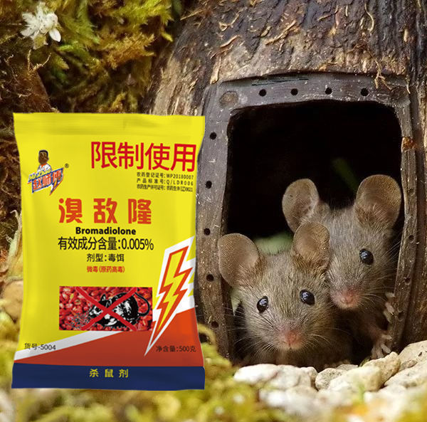 China All-Weather Rodenticide Pellet Place Packs Mouse Poison/Bait on ...