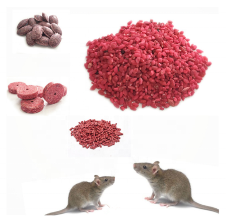 China All-Weather Rodenticide Pellet Place Packs Mouse Poison/Bait on ...