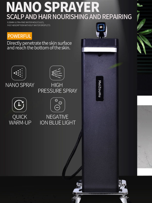 China Nano Hair Care Micro Mist Machine with Multi-function Micro Mist ...