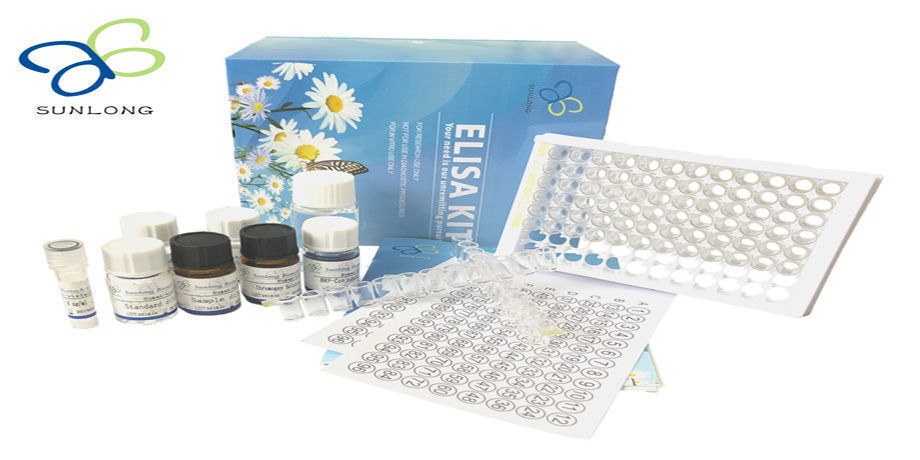 China Rat follicle-stimulating hormone,FSH ELISA Kit (Enzyme levels) on ...