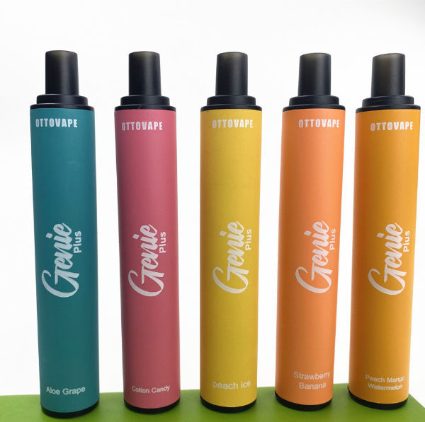 China Genie 2800 Puffs disposable vape Rechargeable Pre-filled ...