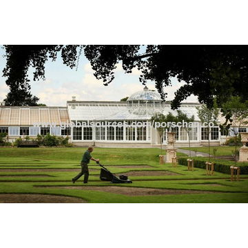 China TP15 Gasoline Petrol Tea Pruning Machine, Grass Trimmer Brush ...