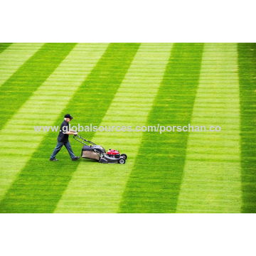 China TP15 Gasoline Petrol Tea Pruning Machine, Grass Trimmer Brush ...