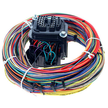 China Custom factory complete car wire harness automotive engine wire ...