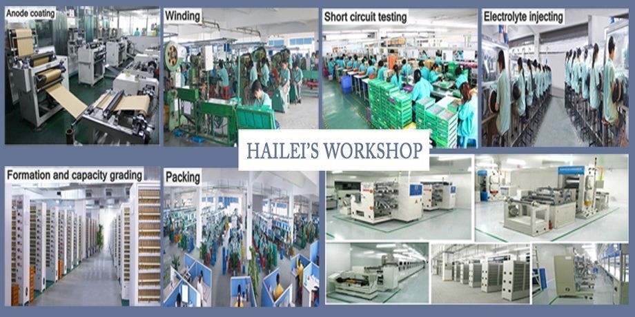 China Hailei 11.1V 12V 10AH 18650 lithium li-ion battery pack on Global ...