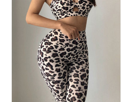 China Leopard print gym set seamless 2 pcs set women outfits Sportswear ...