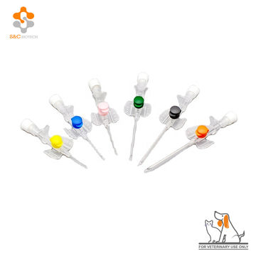 China Pet use sterilized Disposable IV cannula veterinary hospital on ...