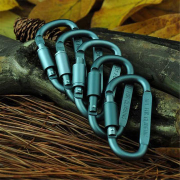 China Wholesale high quality bold with lock quick hanging buckle nut ...