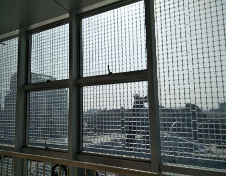 China High Brightness P100 Full Color RGB Outdoor LED Mesh Screen on ...