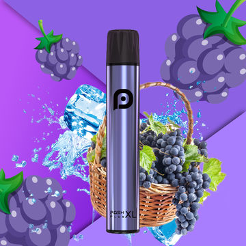 China Factory Best Price Posh Plus XL with 1500 Puffs Disposable Pod ...