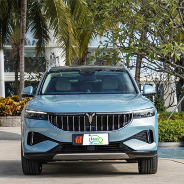 China Best Lantu EV 180km/h electric Lantu SUV Sedan car performance 5 ...
