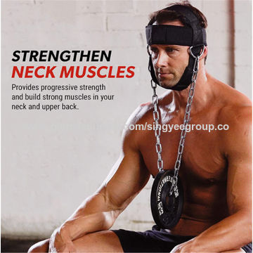 China Neck exercise trainer fitness head strap adjustable steel chain ...