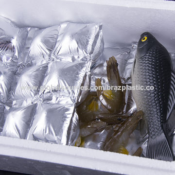 China Light weight dry ice packs for seafood fish keep fresh cold chain ...