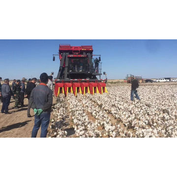 China FMWORLD 4MZD-6 Cotton Combine Harvester on Global Sources,Cotton ...