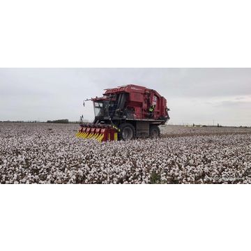 China FMWORLD 4MZD-6 Cotton Combine Harvester on Global Sources,Cotton ...