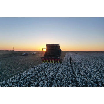 China FMWORLD 4MZD-6 Cotton Combine Harvester on Global Sources,Cotton ...